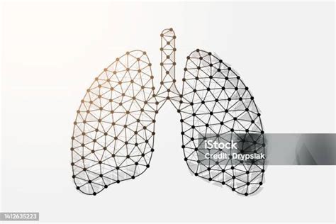 폐는 연결된 점이있는 3d 낮은 폴리 기호입니다 호흡기 인간 이식 디자인 벡터 일러스트레이션 장기 해부학 다각형 와이어프레임