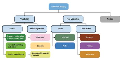 Classification Scheme Of The Land Cover Use Classification Light Blue Download Scientific