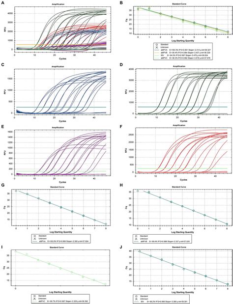 Frontiers Simultaneous Detection Of Infectious Bronchitis Virus And Avian Metapneumovirus