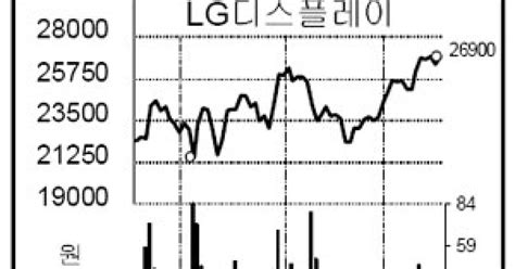 종목 포커스 Lg디스플레이 1조원 대출설에 출렁