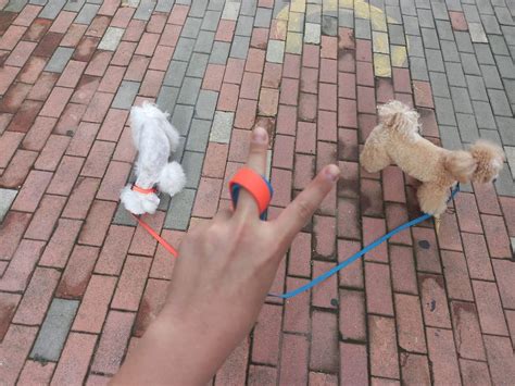 약속 1주일 아침 운동