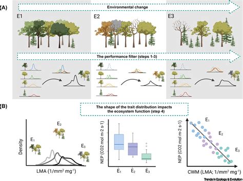 How To Improve Scaling From Traits To Ecosystem Processes Trends In