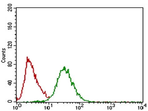 小鼠抗twist1单克隆抗体anti Twist1 Mouse Monoclonal Antibody 生命科学产品与技术服务 生工生物工程