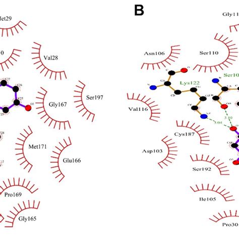Two Dimensional 2d Representation Interaction Map Of Potential Download Scientific Diagram
