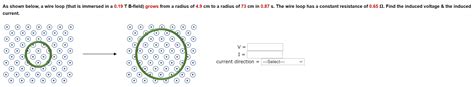 solved as shown below a wire loop that is immersed in a