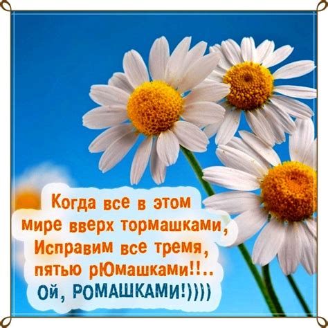 Картинки с днем рождения с Ромашками