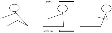 Rowing Technique During The Drive Left To Right And Recovery Right