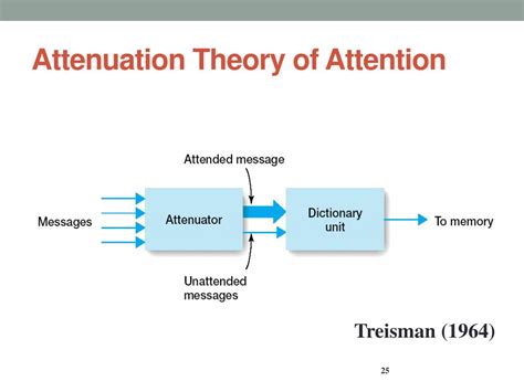 Attenuation Theory Example At Brian Soriano Blog
