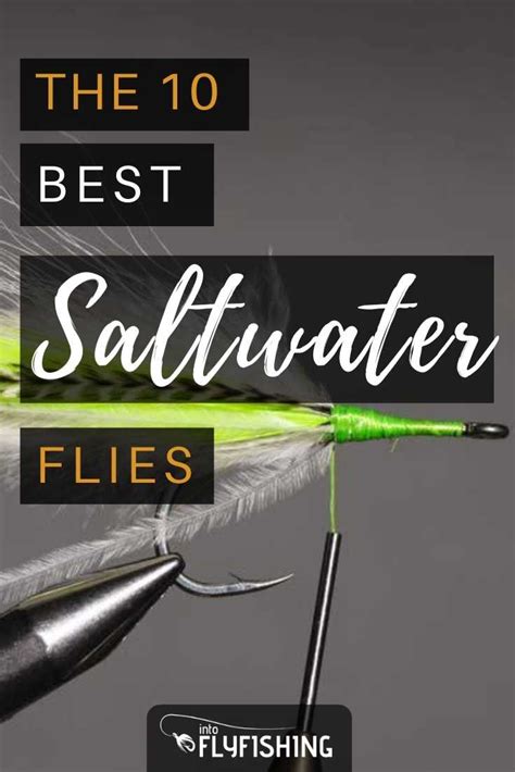 10 Best Saltwater Flies To Help You Catch More Fish Into Fly Fishing