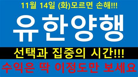 주식 주식전망 유한양행 큰일났다 대박인데요 Youtube