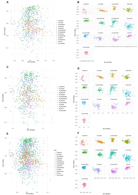 Principal Component Analysis Pca Plot Of The First Two Principal