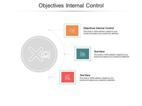 Objectives Internal Control Ppt Powerpoint Presentation Professional Graphics Cpb Presentation