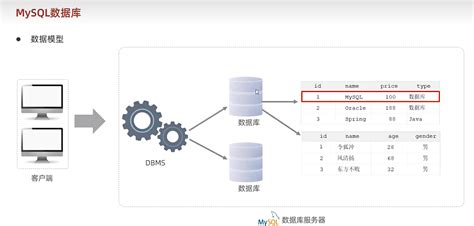 MYSQL数据库基础知识学习笔记 Li 博士 博客园
