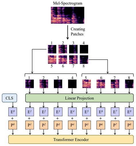 Transtutter A Convolution Free Transformer Based Deep Learning Method