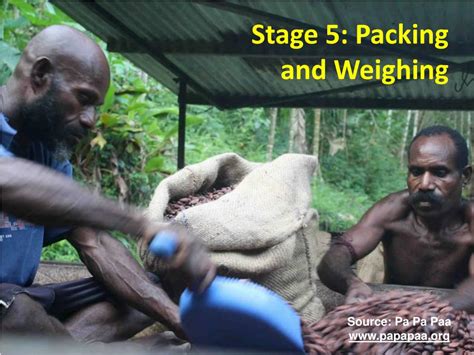 PPT Cocoa Production From Bean To Bar PowerPoint Presentation Free Download ID