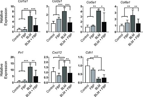 Fructose 1 6 Bisphosphate Regulates Extracellular Matrix Related Genes Download Scientific