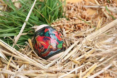 Easter Objects Nest Field Photo Background And Picture For Free