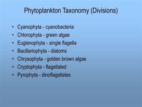 Ppt Phytoplankton Powerpoint Presentation Free Download Id152179