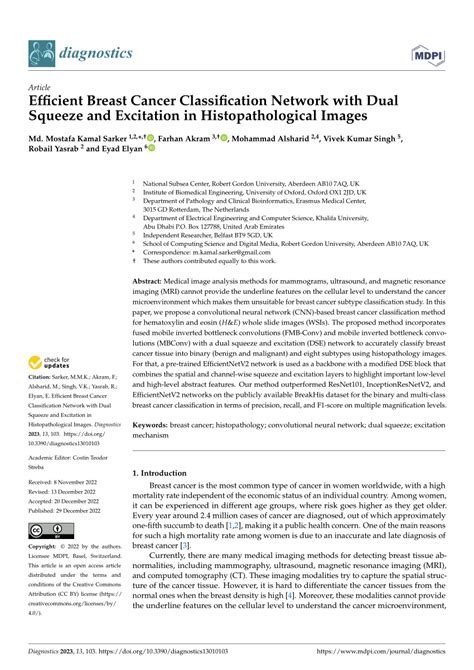 Pdf Efficient Breast Cancer Classification Network With Dual Squeeze