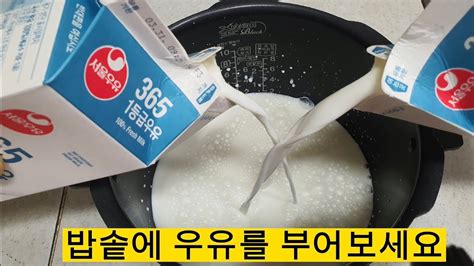 밥솥에 우유를 부어 주면 꾸덕꾸덕 그릭요거트가 된답니다 그릭요거트요거트일꾼tv Youtube