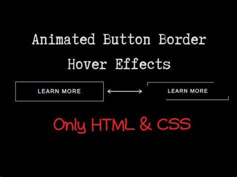 Animated Button Border Hover Effects HTML CSS YouTube