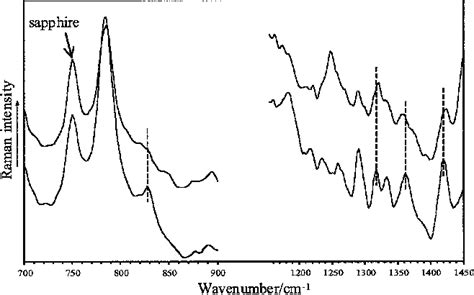 Figure 3 From On The Interpretation Of Raman Spectra Of 1 Aminooxy Spermine Dna Complexes