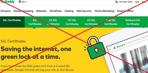 Review Three Reasons To Avoid The GoDaddy SSL Certificate The Travelling Squid
