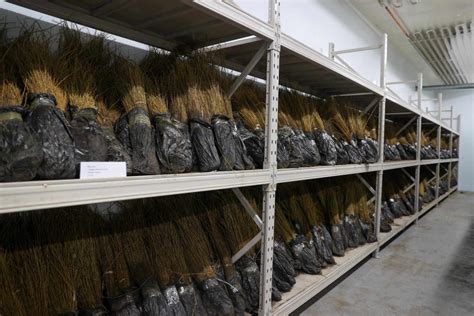 Автомат мод үржүүлгийн “Эрдэнэт” цогцолборын бүтээн байгуулалт энэ онд