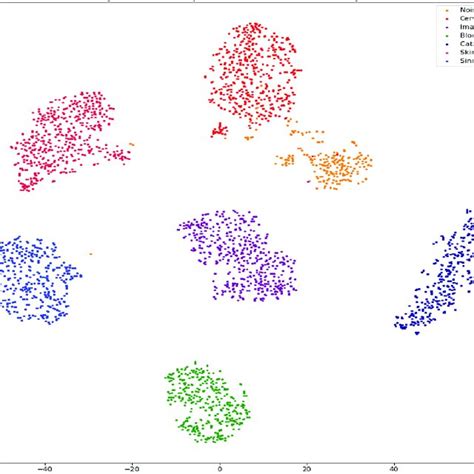 T Sne Projection Of Supervised Contrastive Representations Download