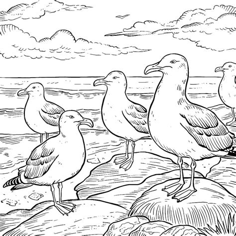 갈매기 색칠 공부 Kr에서 무료 색칠 공부