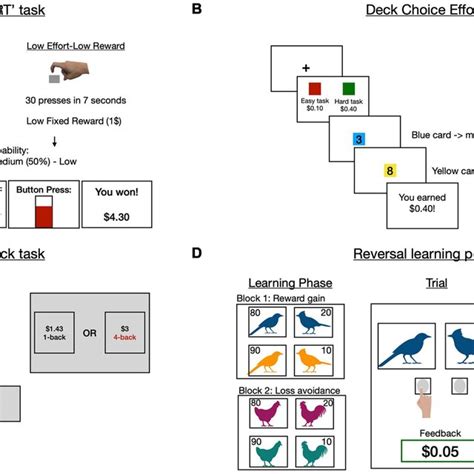 Phases Of Effort Based Decision Making For Rewards Effort Based Download Scientific Diagram