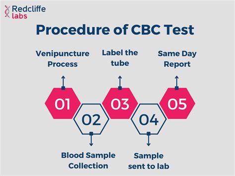 CBC Test Price Normal Range Preparation Process