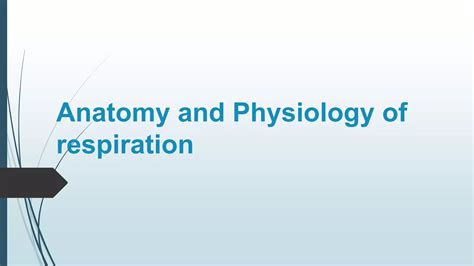 Anatomy And Physiology Of Respiration Pptx