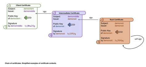 cloud integration amqp adapter client certificat sap community