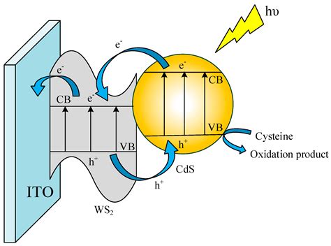 A Photoelectrochemical Sensor For The Sensitive Detection Of Cysteine Based On Cadmium Sulfide