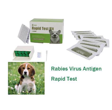 Rabies Virus Antigen Rapid Test Anti Rabies Vaccine Rapid Test And Antigen Test