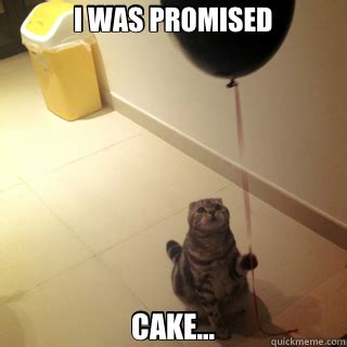 Sad Cat Birthday Cake