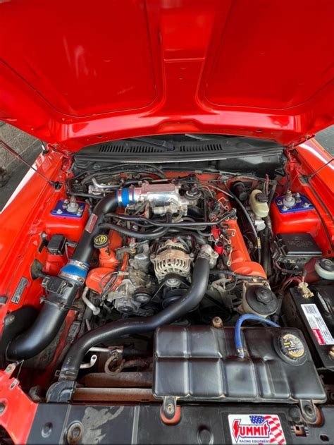 2003 Cobra R Newedgemustang