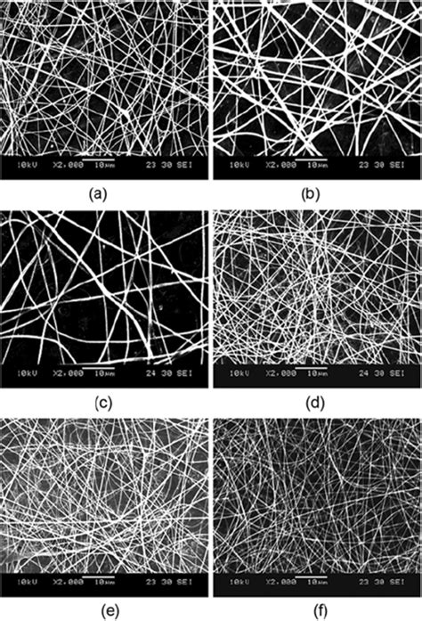 Sem Images Of Sf Ca Blend With Different Ca Content A B Download Scientific