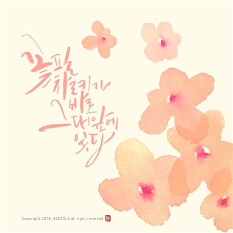 전주 캘리그라피글꼴 붓글씨 작품 23 네이버 블로그
