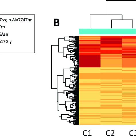 Rna Seq Analysis Shows Differentially Expressed Genes Between Proband Download Scientific