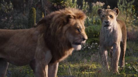 Simba And Nala