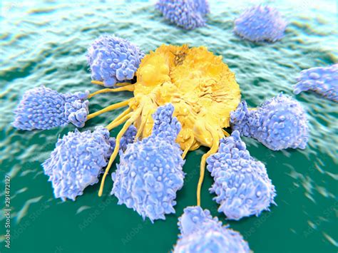 Cancer Cell Being Destroyed By Cytotoxic T Cells Stock Illustration