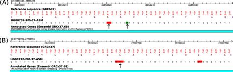 gvs affecting the same protein coding transcript must be assessed