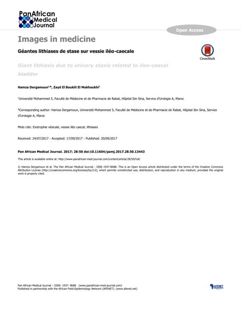 Pdf Giant Lithiasis Due To Urinary Stasis Related To Ileo Caecal Bladder