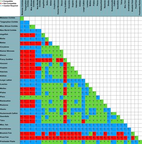 Black Neon Tetra 25cm 3cm