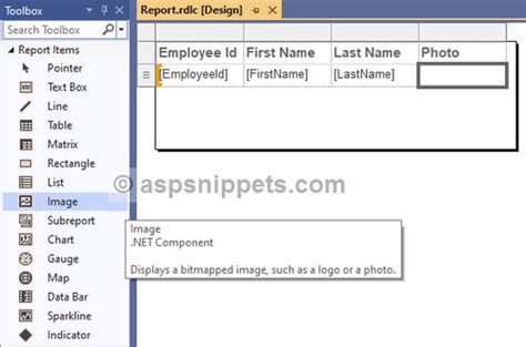 Aspnet Mvc Display Binary Image From Database In Rdlc Report