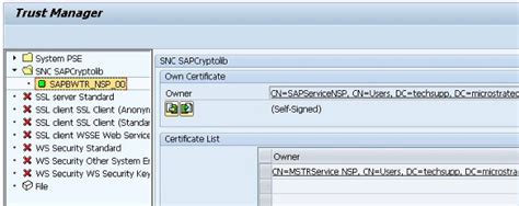 kb38303 how to set up a snc connection to sap bw using the sap