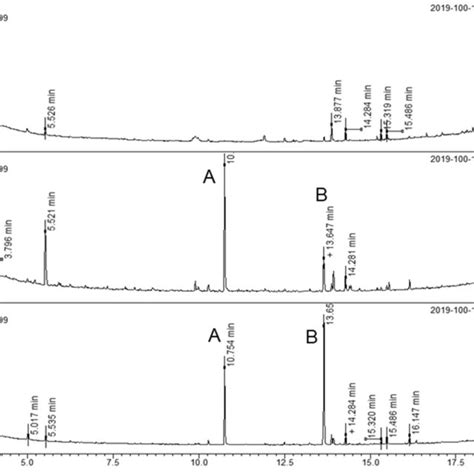 GC MS Analyses On Polar GC Column Of Volatile Collections From Green Download Scientific