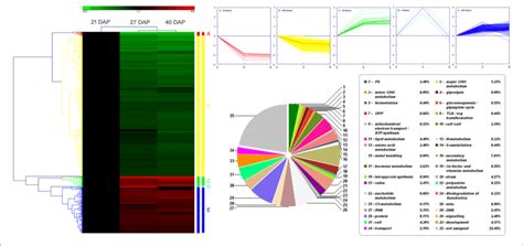 Hierarchical Clustering And Protein Functional Classification